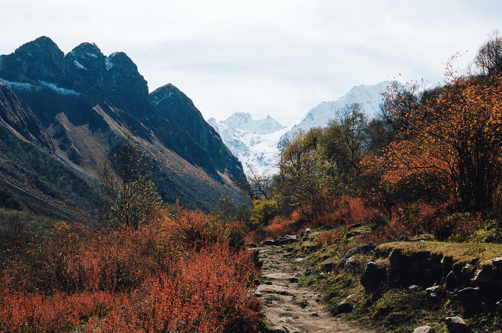 Best Places to Stay in Nepal This Autumn - Alpha Adventure Treks and ...