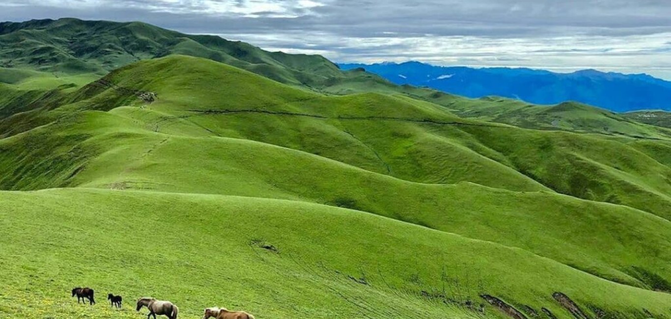 Badimalika Trek | Tribeni Badimalika Trek | Badimalika Trek Cost and ...