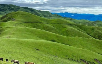 Badimalika Trek | Tribeni Badimalika Trek | Badimalika Trek Cost and ...